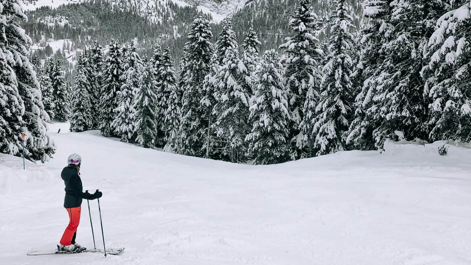 De beste skiles geven tips: dit wil je weten als skileraar